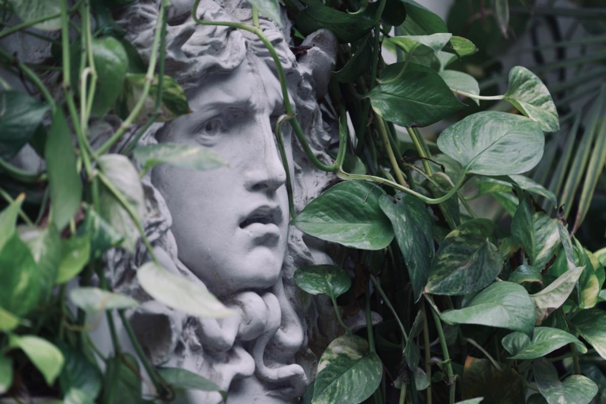 GCSE Poem analysis: Carol Ann Duffy’s – Medusa