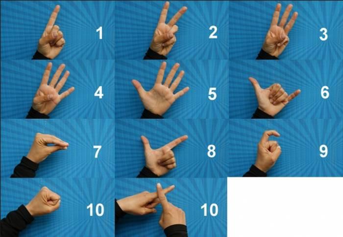 Counting in the Japanese Language