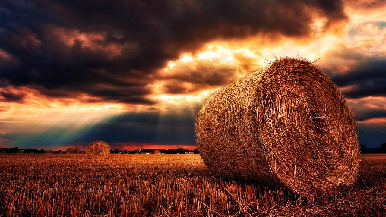 Landscape Photography: Our Tips for Becoming a Pro!