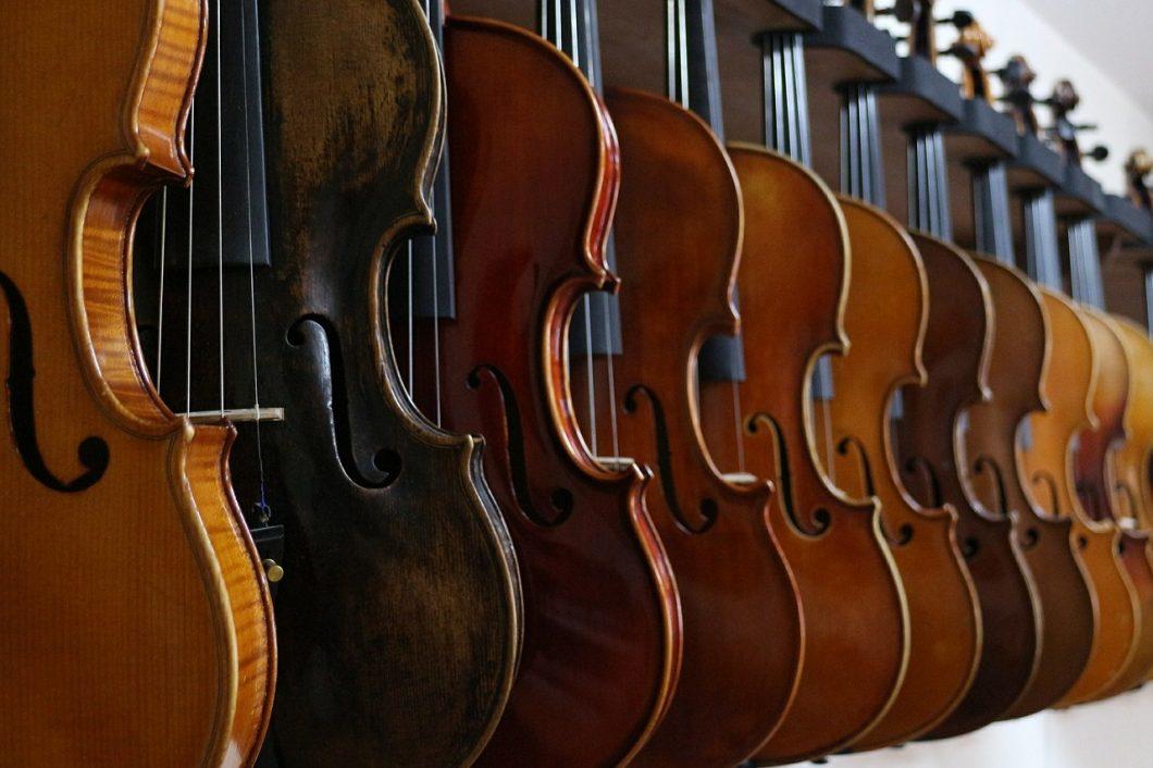 The Different Types of Violin | Superprof