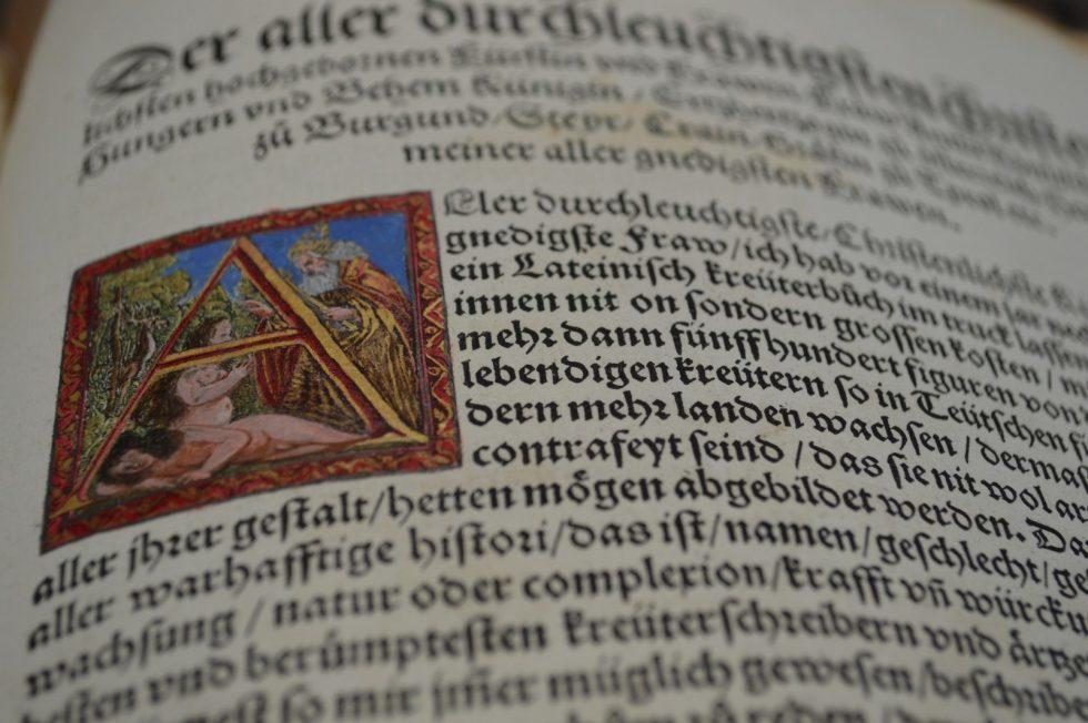 The Latin Alphabet: History and Evolution | Superprof