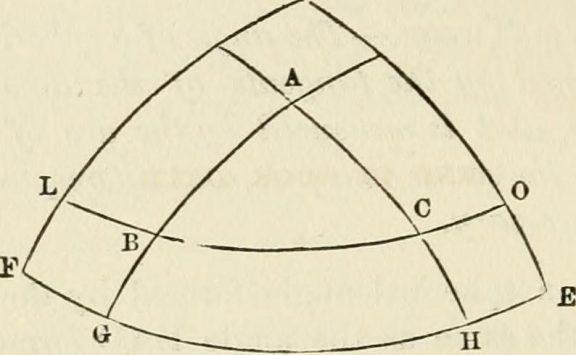 The Life and Discoveries of Euclid | Superprof