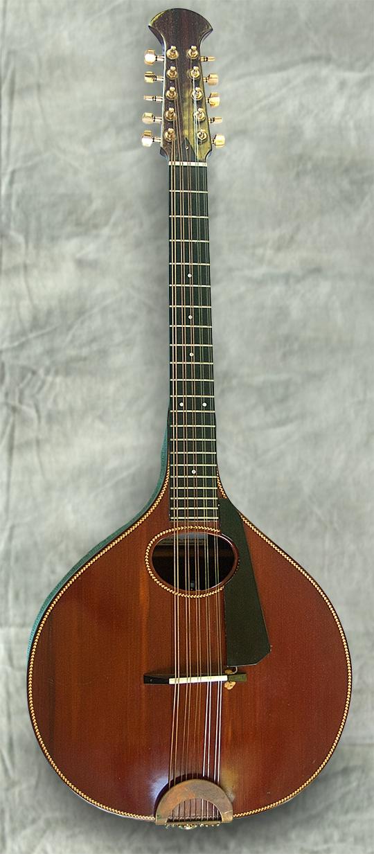 Let’s Learn How to Play the Cittern. | Superprof