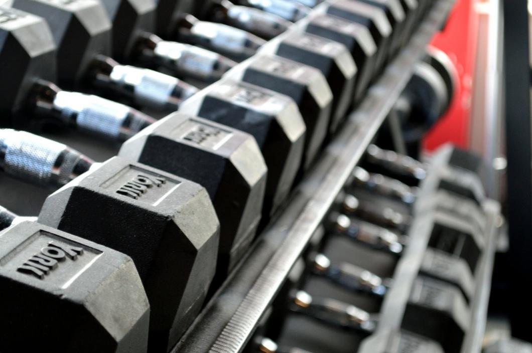 The Quick Guide to Gym Equipment | Superprof