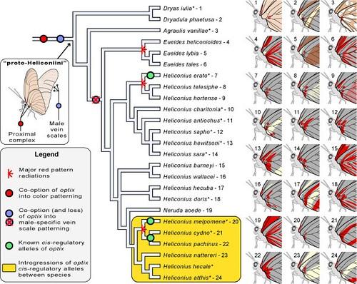 Gregor Mendel | Superprof