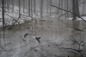 GCSE Poem analysis: Neutral Tones by Thomas Hardy