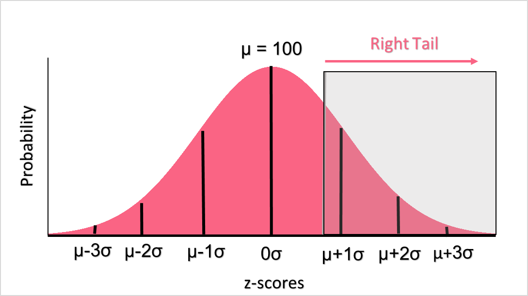Normal Distribution | Superprof