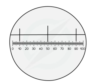 Actual Size of the Specimen | Superprof